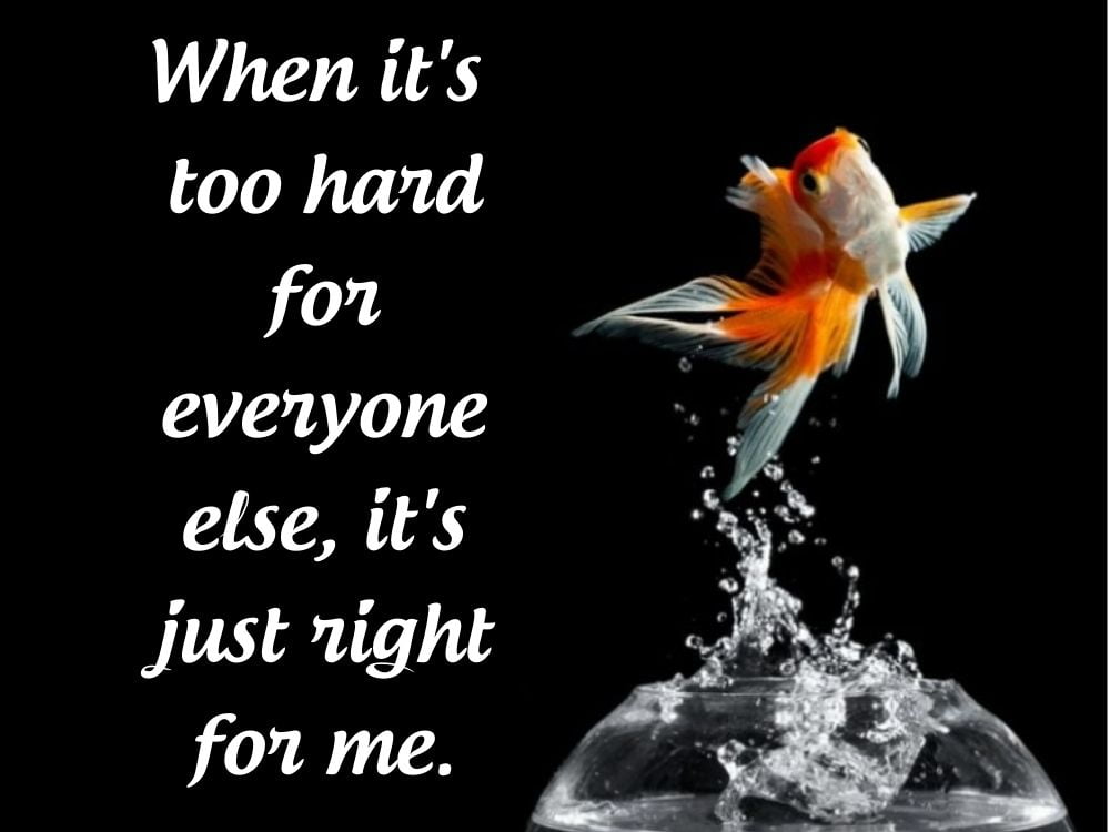 When it's too hard for everyone else, it's.... - Official Site Dan Miller
