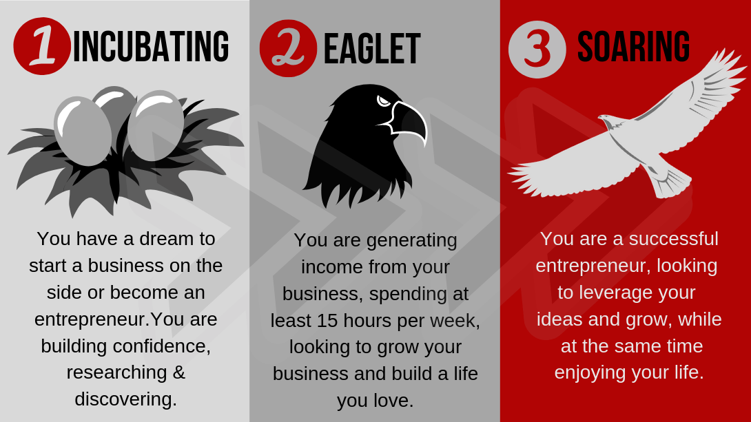 Find out where you are on the flightpath to business success - Official ...